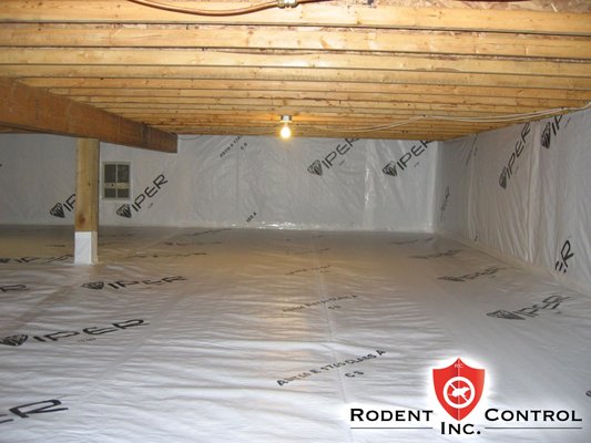 RODENT CONTROL - Updated January 2026 - 235 Photos & 406 Reviews - 5455 ...