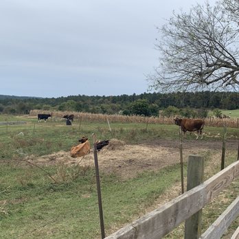 STEED’S DAIRY - Updated December 2025 - 119 Photos & 20 Reviews - 4634 ...