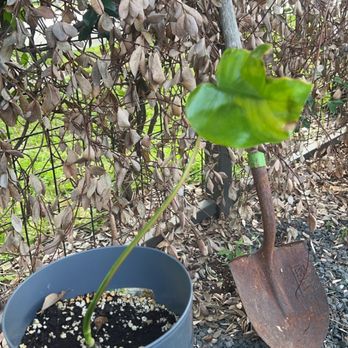 DOSHI HOUSE - Updated August 2024 - 599 Photos & 467 Reviews - 3419 ...