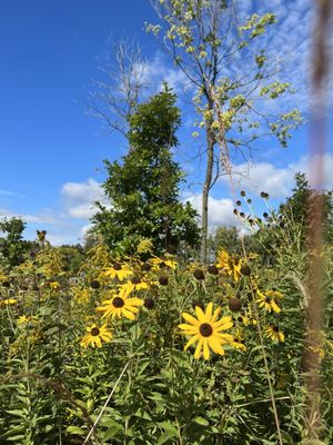 WEST RIDGE NATURE PARK - 152 Photos & 18 Reviews - 5801 N Western Ave ...