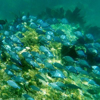 LOOE KEY REEF RESORT - Updated May 2024 - 60 Photos & 100 Reviews ...