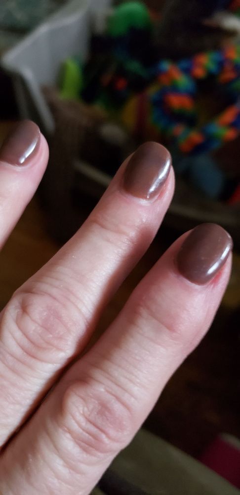 WILD NAILS - 68 Photos & 78 Reviews - 8515 Manchester Rd, Saint Louis ...