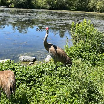 THE GEORGE C REIFEL MIGRATORY BIRD SANCTUARY - Updated March 2026 - 108 ...