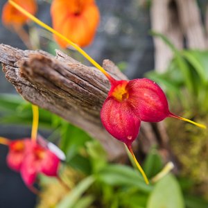 SAMAHA’S COUNTRY FARM MARKET - Updated December 2025 - 52 Photos & 38 ...