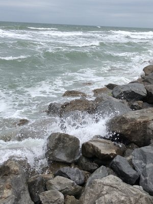 LIGHTHOUSE POINT PARK - 82 Photos & 31 Reviews - Parks - 5000 S ...