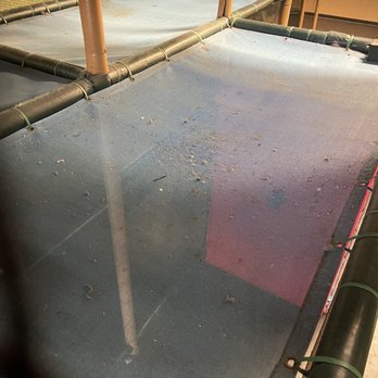 JUNGLE JAVA - Updated October 2025 - 70 Photos & 99 Reviews - 44595 ...