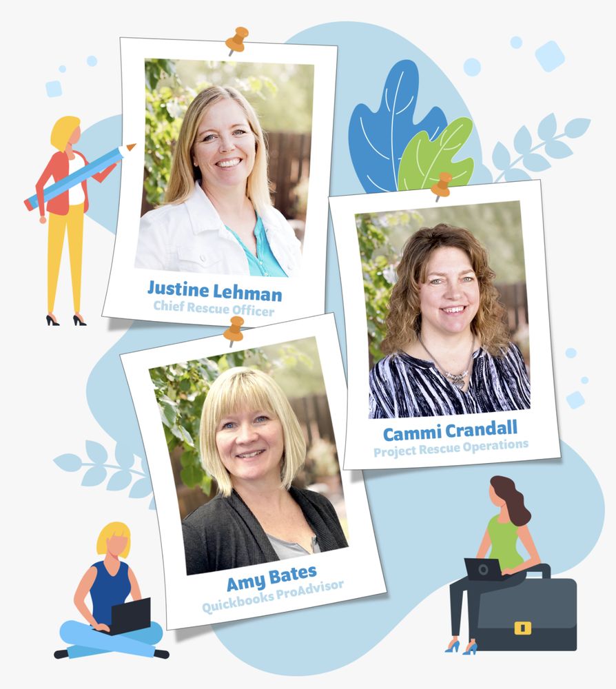 SOLID OFFICE SOLUTIONS - Updated February 2025 - Request Consultation ...