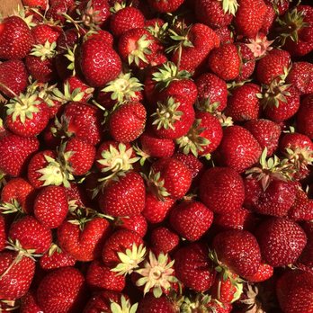 CAVANNA’S FARM - Updated October 2025 - 44 Photos & 18 Reviews - 80 ...