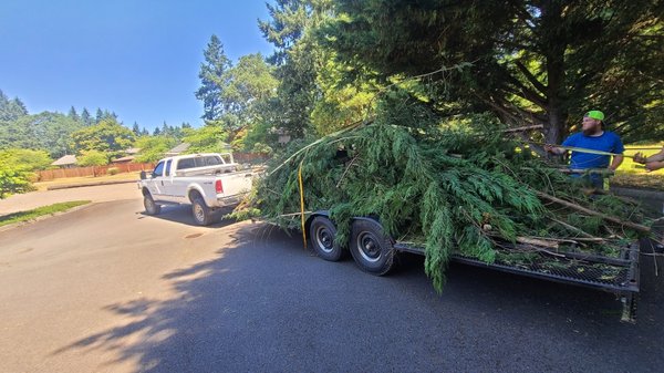 JAKE THE TREE GUY - Updated December 2025 - 19 Photos - Salem, Oregon ...