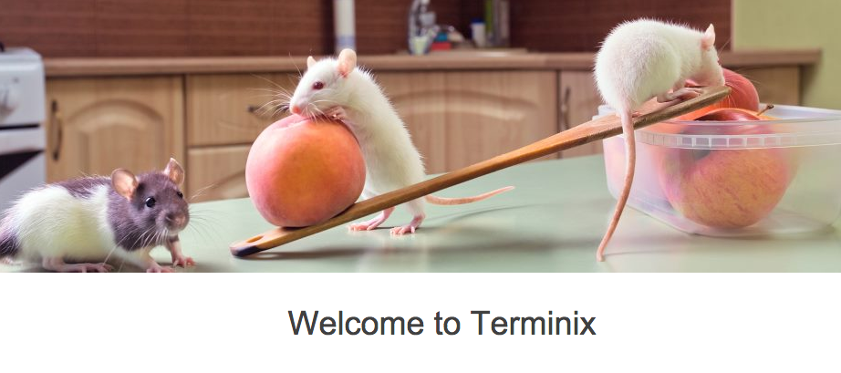 TERMINIX PEST CONTROL - 4215 Monterey Dr, Memphis, Tennessee - Pest ...