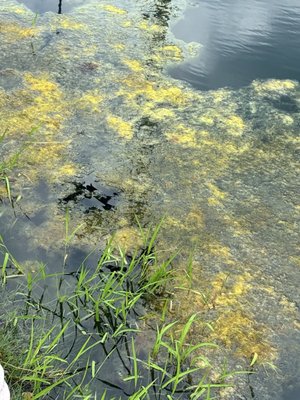 MAGIC MOUNTAIN FUN CENTER - EAST - Updated December 2025 - 70 Photos ...