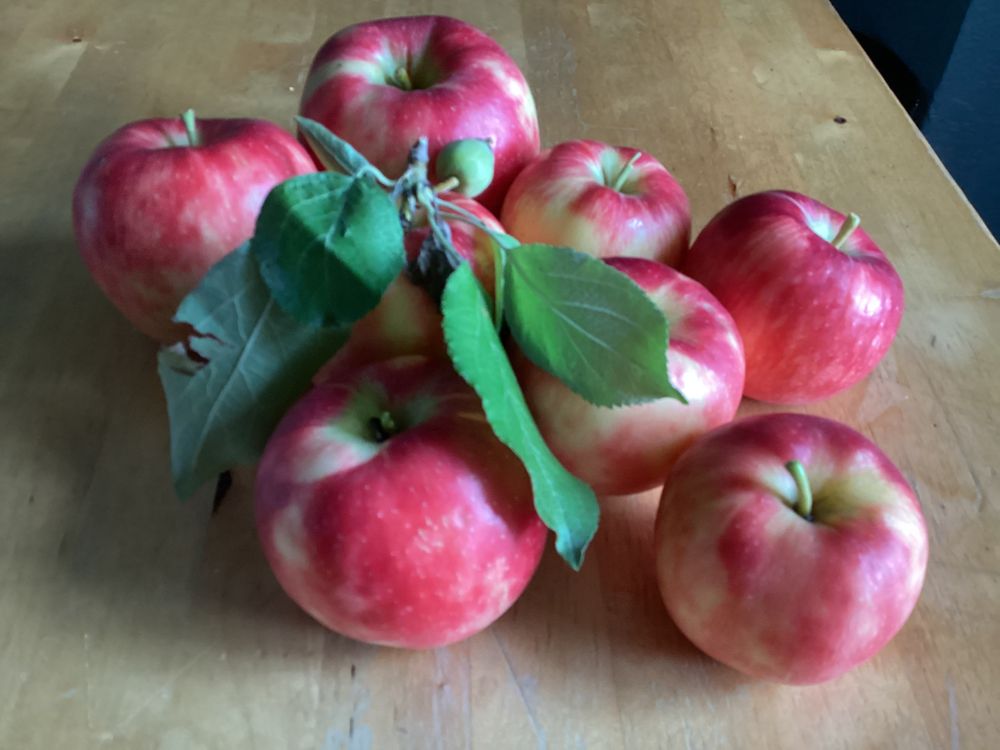 Book a Table - Maple Ridge Orchard - Updated November 2025 - 11 Photos ...