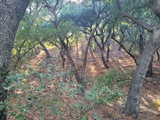 CRESCENTA VALLEY PARK - Updated January 2026 - 157 Photos & 24 Verified ...