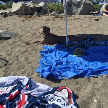 BASS BEACH - Updated December 2025 - Rye, New Hampshire - Beaches - Yelp