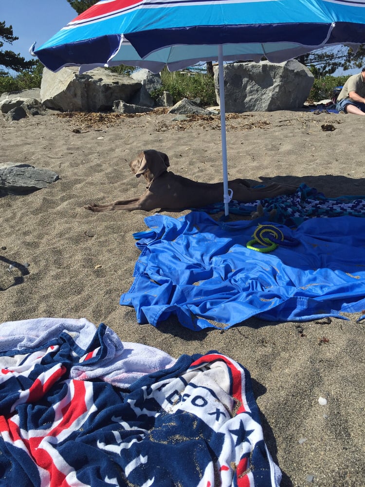 BASS BEACH - Updated December 2025 - Rye, New Hampshire - Beaches - Yelp