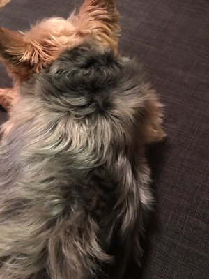 DIPPITY DO DOG - Updated October 2025 - 23 Photos & 49 Reviews - 6601 ...