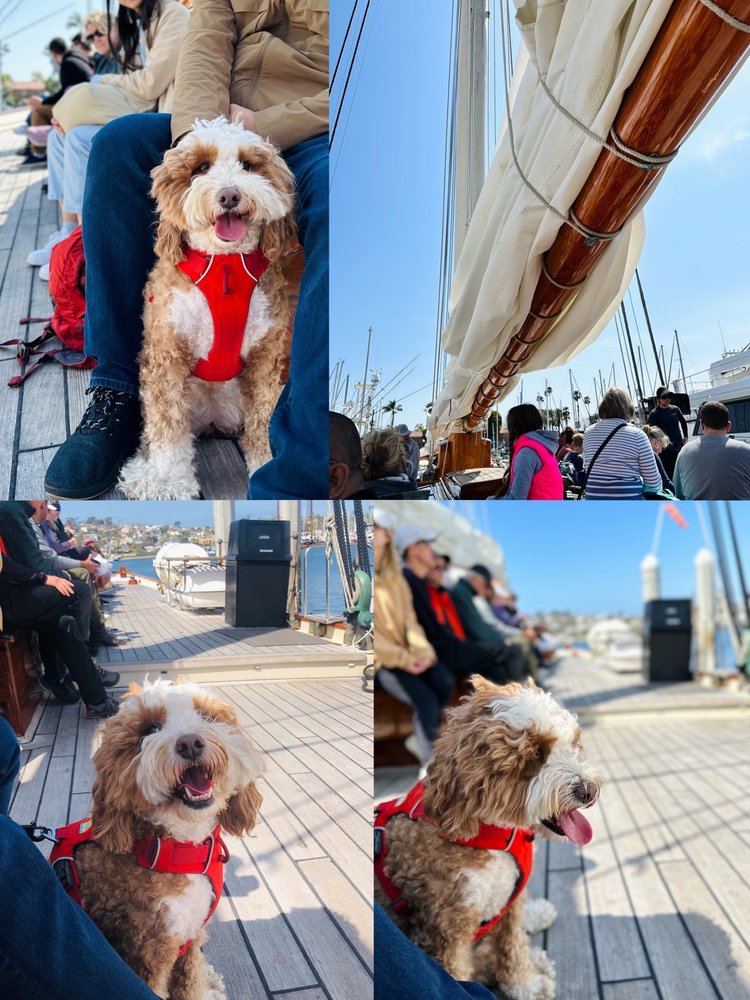 NEXT LEVEL SAILING - Updated December 2025 - 281 Photos & 286 Reviews ...