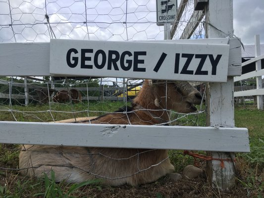 CALHOUN’S FARM STAND - Updated December 2025 - 10 Reviews - 441 Grange ...