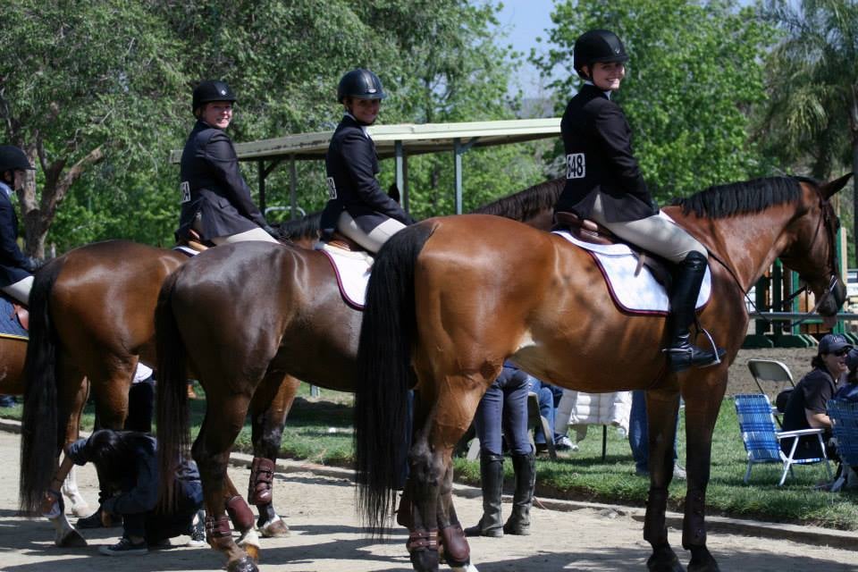 SILVER GATE FARMS - Updated June 2024 - 16 Photos & 13 Reviews - 28840 ...