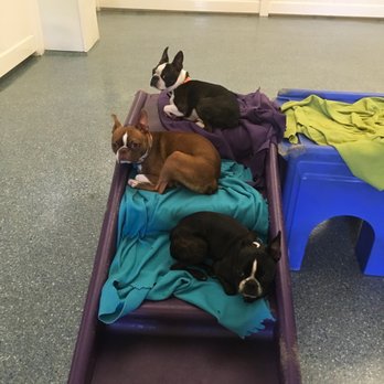 MR. MUGGLES’ DOGS - Updated July 2025 - 63 Photos & 99 Reviews - 2175 ...