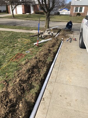 THE BASEMENT DOCTOR - Updated November 2025 - 25 Photos & 29 Reviews ...