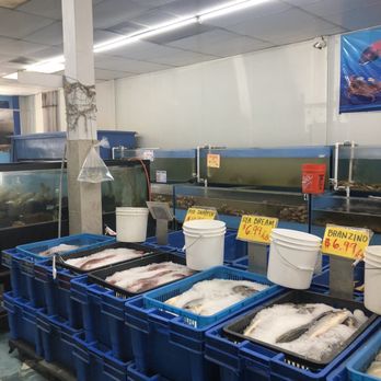 USA DAILY LIVE SEAFOOD MARKET - Updated June 2025 - 169 Photos & 95 ...