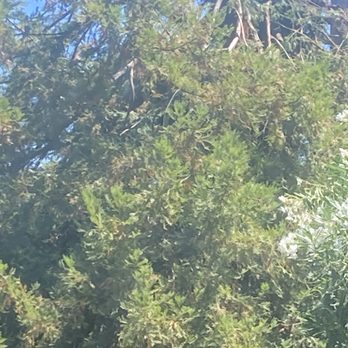 MOUNTAIN F ENTERPRISES - Updated December 2025 - 10 Photos & 43 Reviews ...