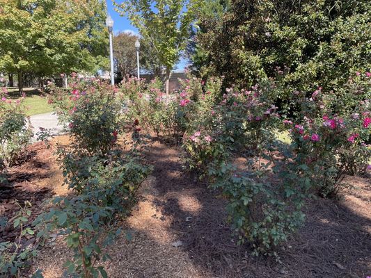 PATH 400 TRAIL - Updated May 2025 - 800 Sidney Marcus Blvd NE, Atlanta ...