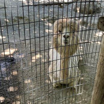 APPLEGATE PARK ZOO - Updated December 2025 - 122 Photos & 54 Reviews ...