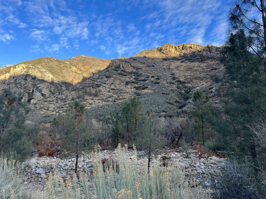 JOHNSONDALE BRIDGE RIVER TRAIL - Updated December 2025 - 30 Photos - 26 ...