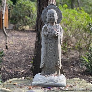 THE RINK ON THE BEACH - 35 Photos & 14 Reviews - Skating Rinks - 4601 N ...