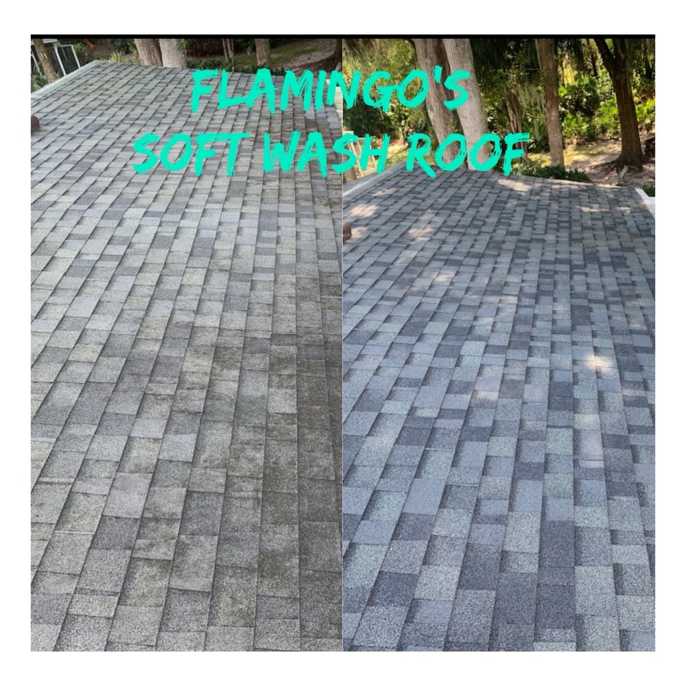 FLAMINGO - Updated August 2025 - Request a Quote - 17 Photos - 88 ...