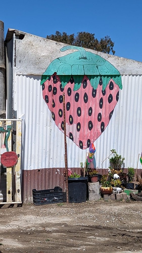 TETO’S PRODUCE - Updated September 2025 - 72 Photos & 26 Reviews - 1531 ...