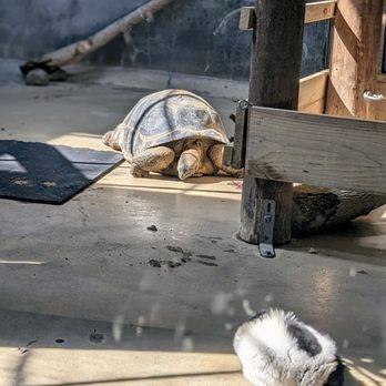 HENRY VILAS PARK ZOO - Updated December 2025 - 502 Photos & 254 Reviews ...