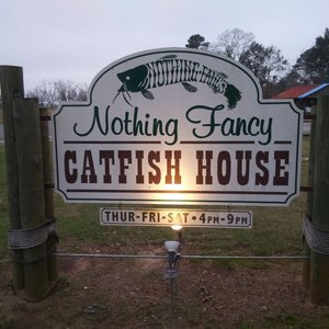NOTHING FANCY CATFISH HOUSE - 12 Photos & 15 Reviews - 4269 Ga Hwy 234 ...