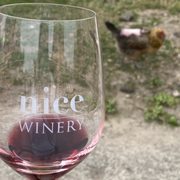 THE NICE WINERY - 79 Photos & 23 Reviews - Wineries - 10520 Westview Dr ...