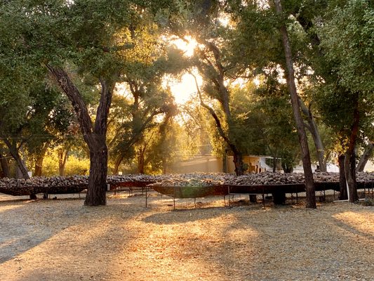 WELBURN GOURD FARM - Updated October 2024 - 34 Photos & 17 Reviews ...