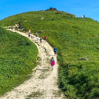 WHITING RANCH WILDERNESS PARK - Updated December 2024 - 891 Photos ...