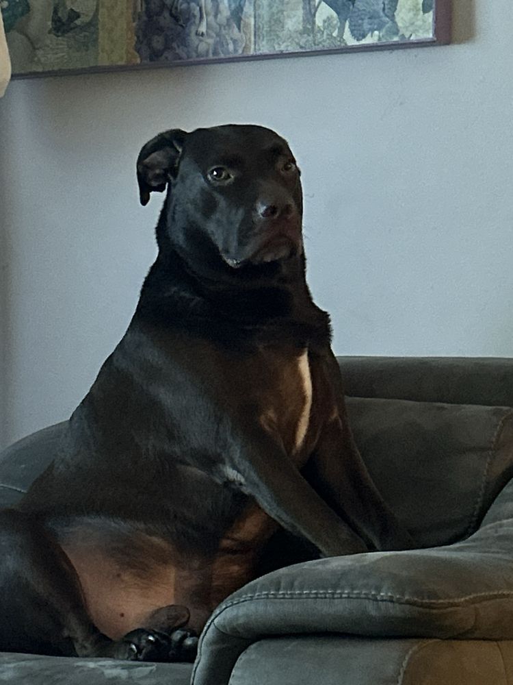 BOCA RATON COMMUNITY MIDDLE SCHOOL - Updated August 2025 - 1251 NW 8th ...