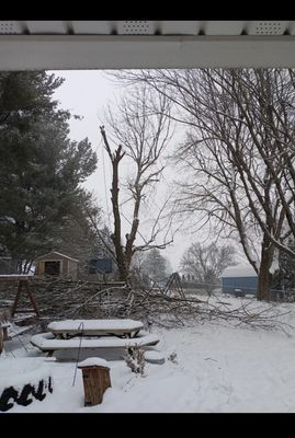 H&S TREE SERVICE - Updated October 2025 - 22 Photos - Hanover ...