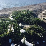 ALVISO MARINA COUNTY PARK - 1359 Photos & 192 Reviews - 1195 Hope St ...