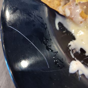 NACHO KAT - Updated October 2025 - 76 Photos & 51 Reviews - 70456 LA-21 ...