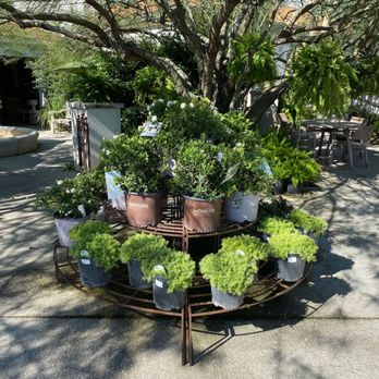 DUH FOR GARDEN & HOME - Updated January 2026 - 111 Photos & 18 Reviews ...