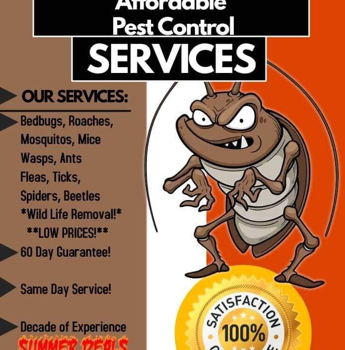 BUG BUSTERS - Updated July 2024 - Request a Quote - Cleveland, Ohio ...