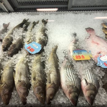 MR FISH - Updated December 2025 - 27 Photos & 39 Reviews - 2629 E ...