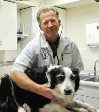 LAYTON VETERINARY HOSPITAL - Updated June 2026 - 14 Photos & 11 Reviews ...