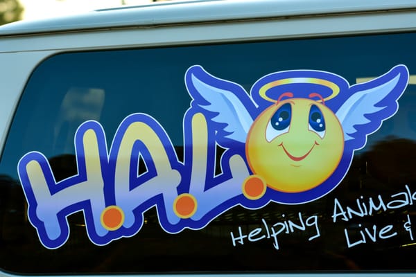 HALO RESCUE - Updated December 2025 - 23 Photos & 15 Reviews - 710 ...