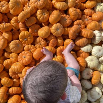 FERRARI FARMS - Updated October 2025 - 179 Photos & 68 Reviews - 4701 ...