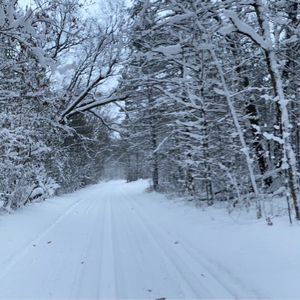 SILVERBACK OFFROAD - Updated August 2025 - 11 Photos - 1931 N 24th Ave ...