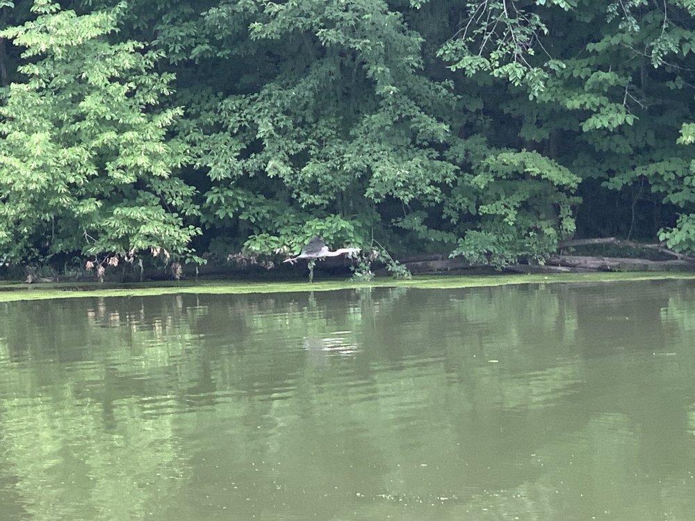 FINDLEY STATE PARK - Updated July 2025 - 33 Photos & 15 Reviews - 25381 ...